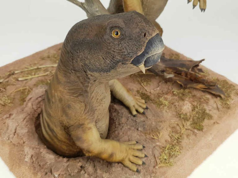 Diictodon, UNIKAT von Simon Panek – Urzeitshop